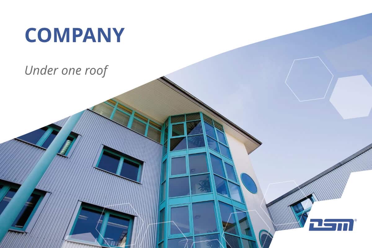 The DSM Company – Tightening and Press-In Technology