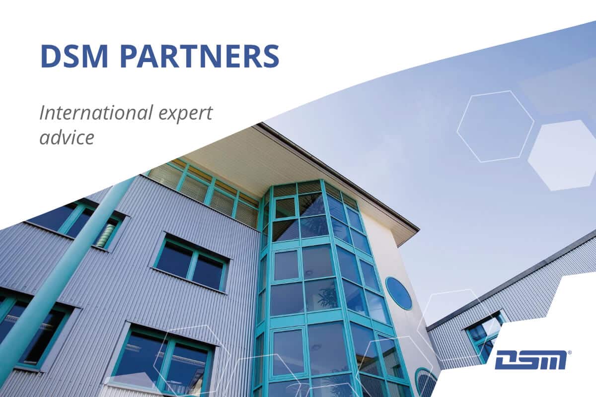 Partners of DSM Messtechnik GmbH